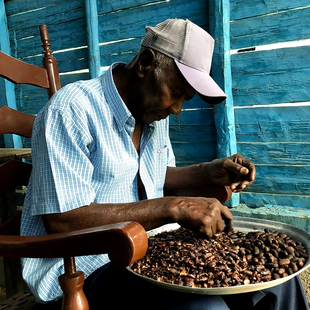 RD más que playas, conoce "Chocolate Mountain" el tour del cacao